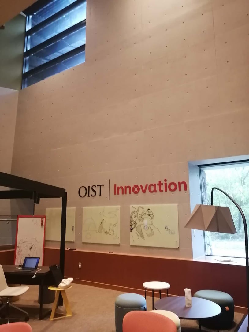 OIST-Hitotsubashi Internship Program 2023 | A Nexus of Science, Business and Culture